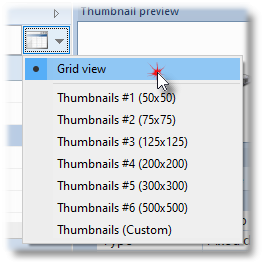 Switching between Grid (detailed) View and Thumbnails View